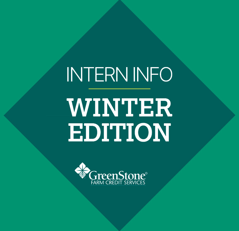 Meet our Tax and Accounting Interns! | GreenStone FCS