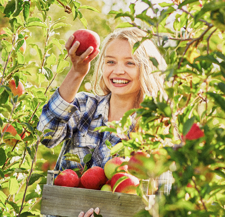 Strong Apple Harvest Expected in Michigan | GreenStone FCS