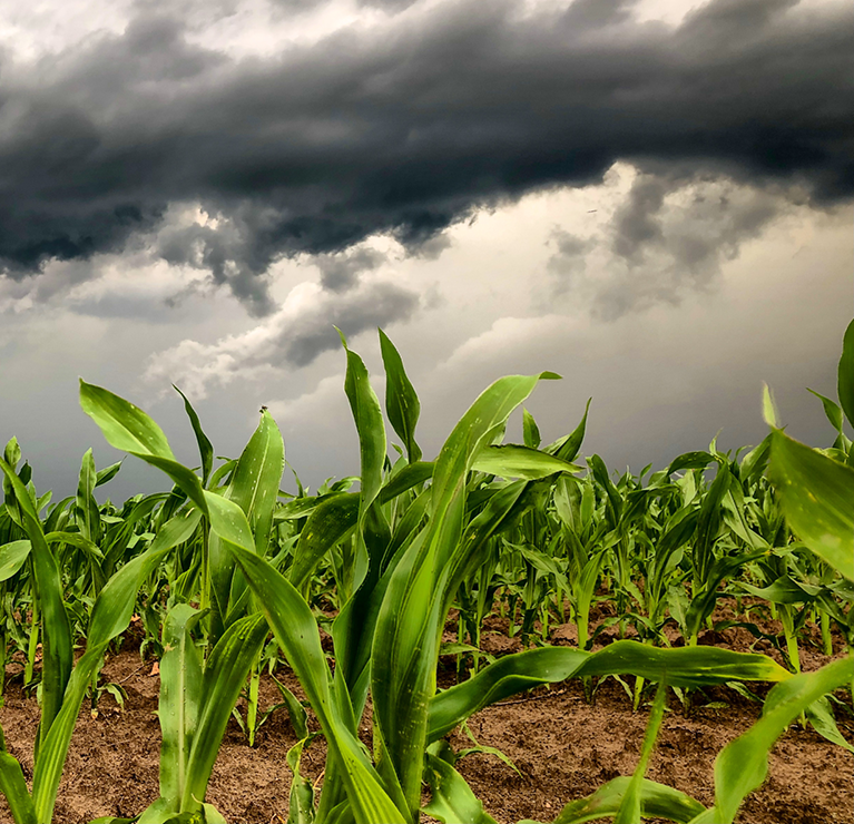 Helping you protect what’s most important | GreenStone FCS