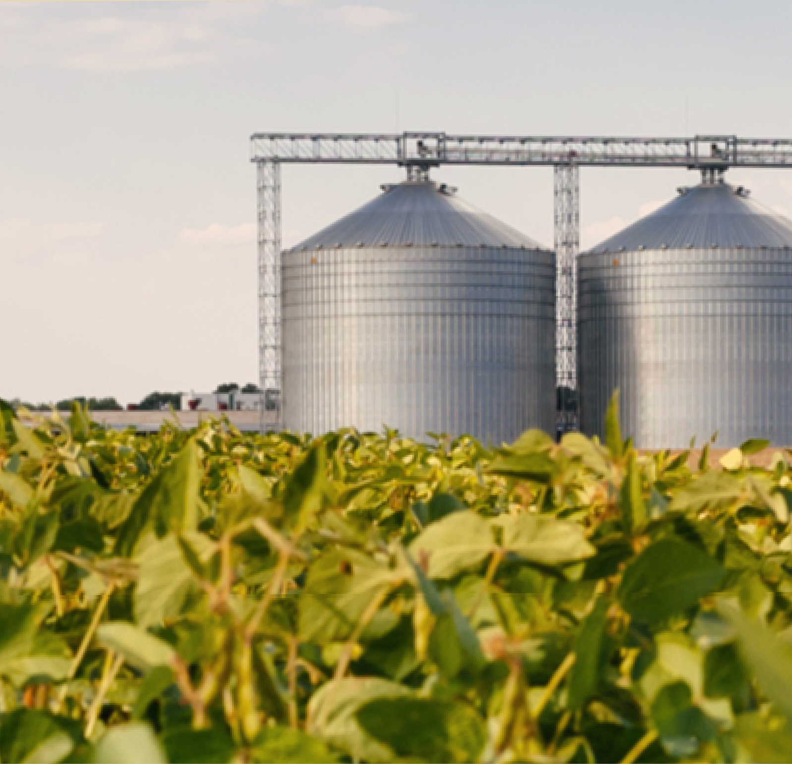 Capital Markets | Products & Services | GreenStone FCS