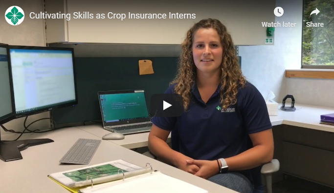 Cultivating Skills as Crop Insurance Interns | GreenStone FCS