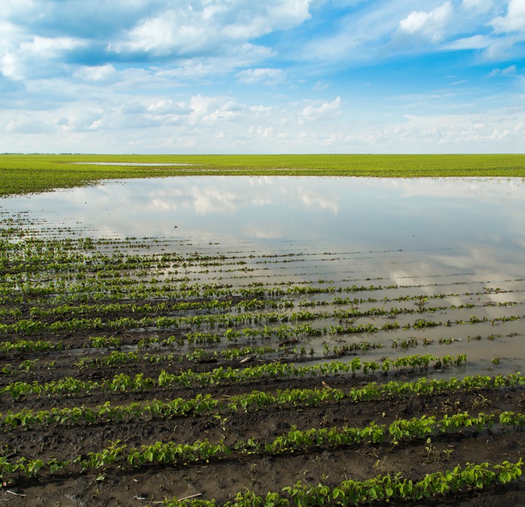 USDA’s Emergency Relief Program (ERP) | GreenStone FCS