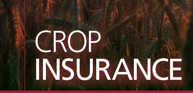 Crop Insurance Michigan & northeast Wisconsin | GreenStone FCS