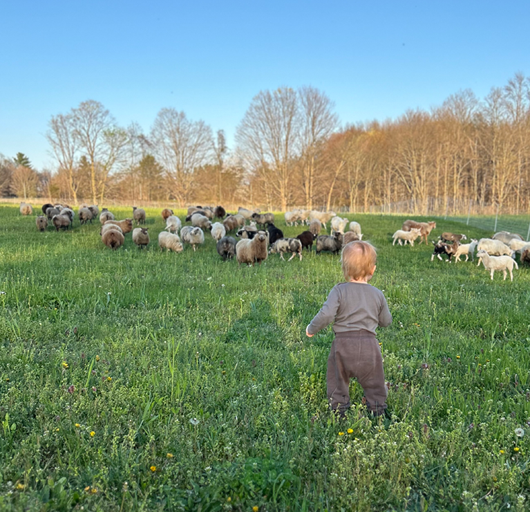 Connecting the Community | GreenStone FCS